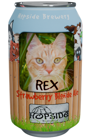 Hopside Brewery and Distillery